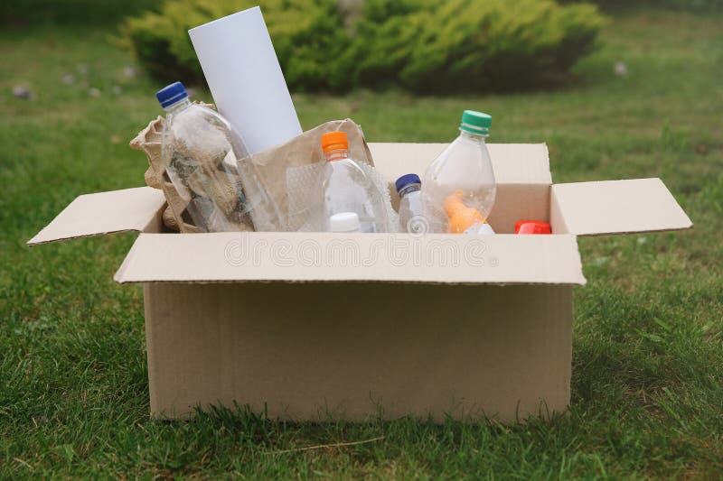 Recycling Different Garbage Cardboard Box Green Grass Outdoors Stock ...