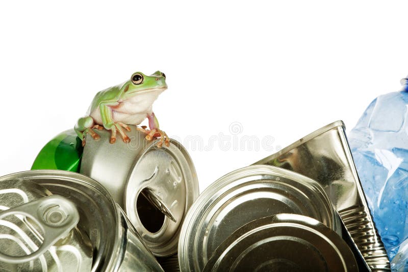 Recycling frog stock photo. Image of green, earth, caerulea - 10983556