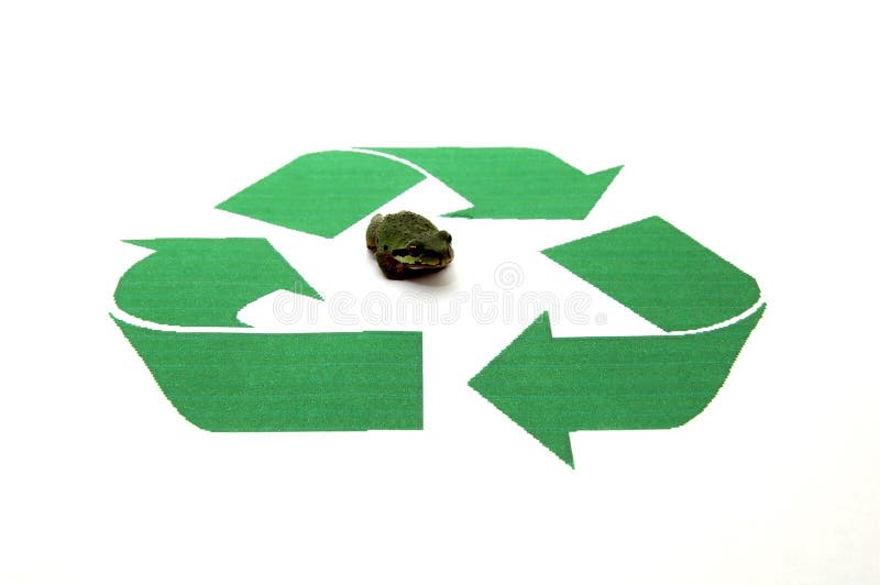 Recycling Frog stock photo. Image of turn, arrows, amphibian - 14859704