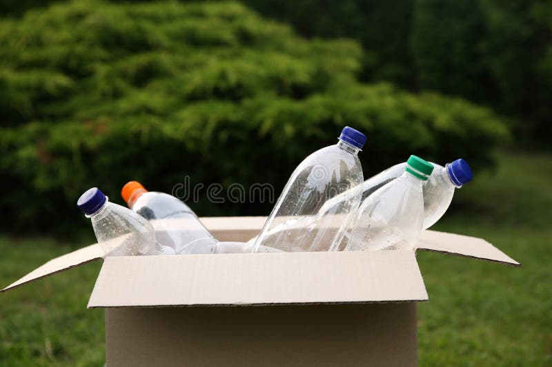 Recycling. Plastic Bottles in Cardboard Box Outdoors Stock Photo ...