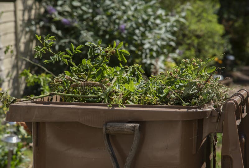 Recycling Waste in the Garden Stock Image - Image of recycling ...