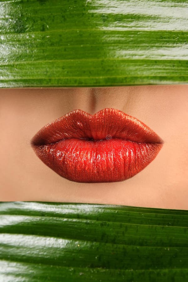 Red stock photo. Image of young, lips, tree, close, leaf - 13672786
