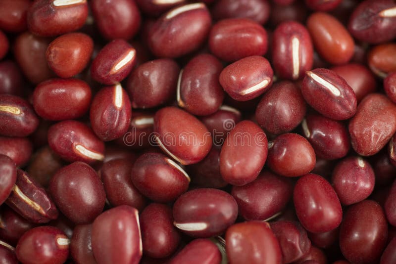 Red Adzuki Beans Picture. Image: 13599557
