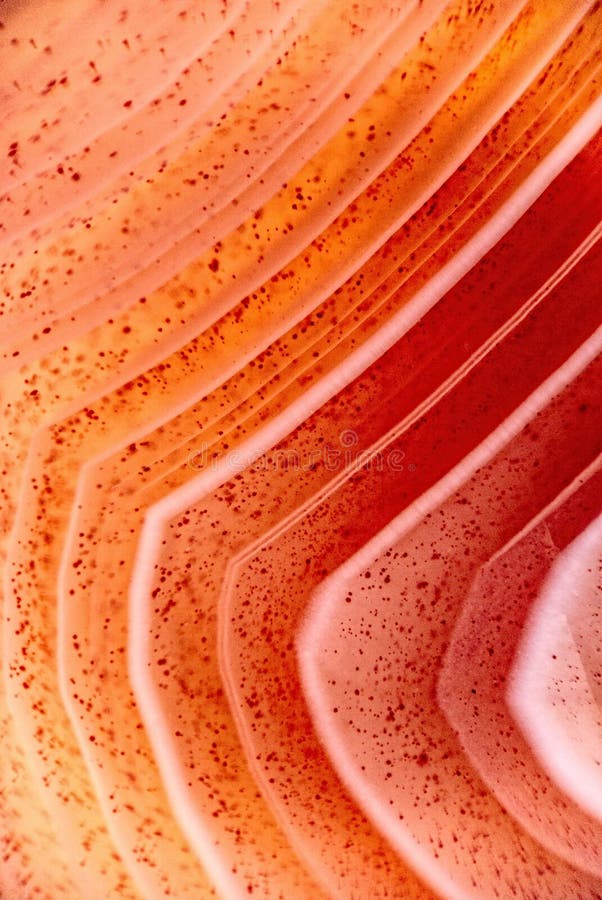 Red Agate Geode Geological Crystals Stock Image - Image of jewelery ...