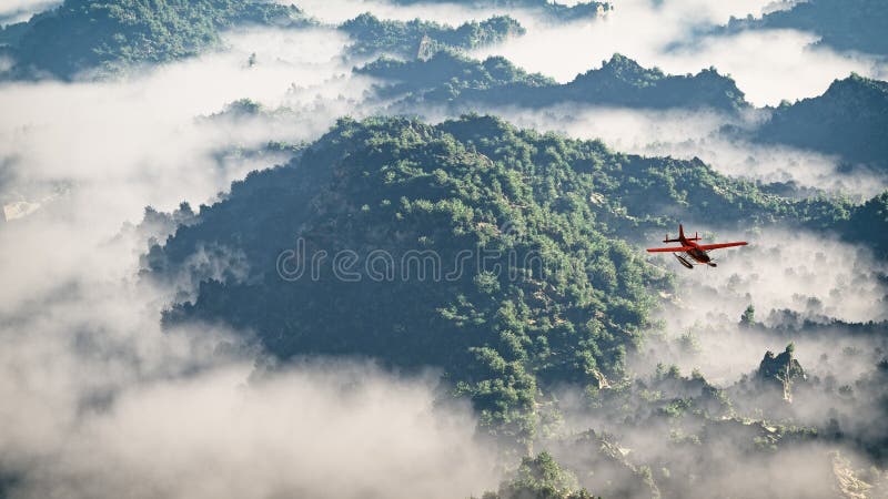 Airplane Flying Over Forest with River. Stock Image - Image of travel ...