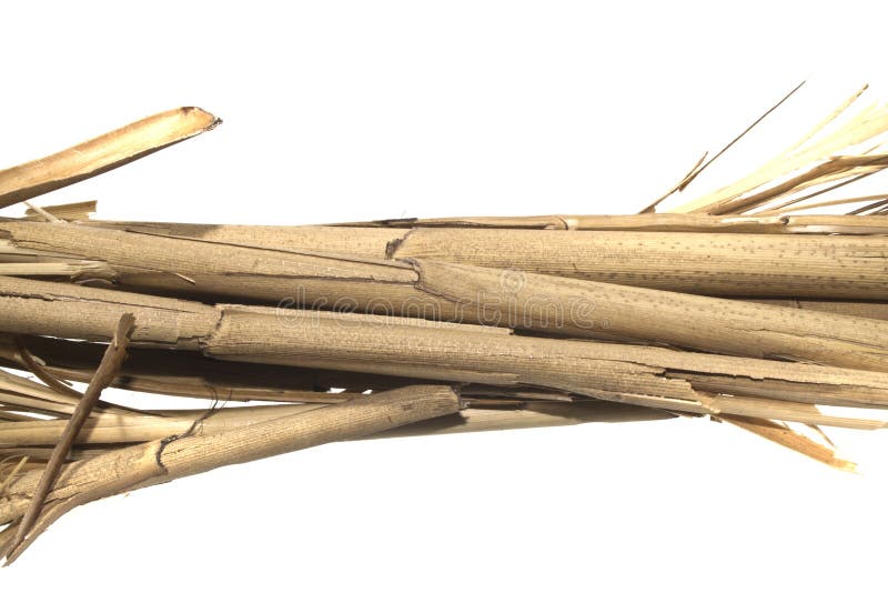 Red Aislada En Fondo Blanco Foto de archivo - Imagen de travieso ...