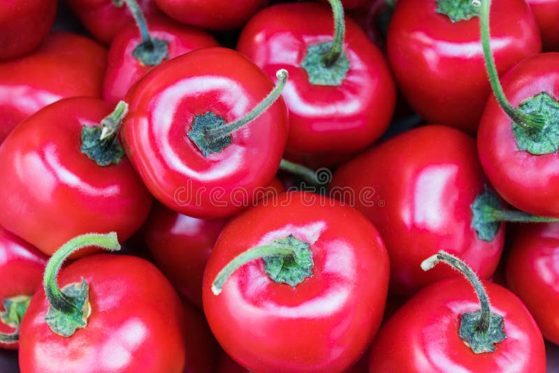 Githeyo Mirus English Stock Photos - Free & Royalty-Free Stock Photos ...