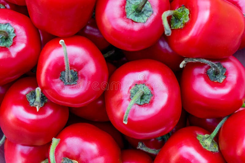 Githeyo Mirus English Stock Photos - Free & Royalty-Free Stock Photos ...