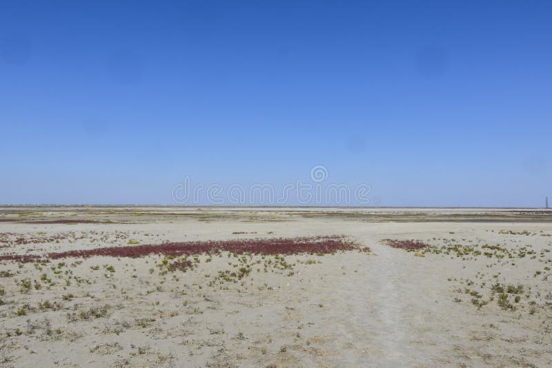 Red Algae Grow in Salt Desert Landscape Stock Photo - Image of salt ...