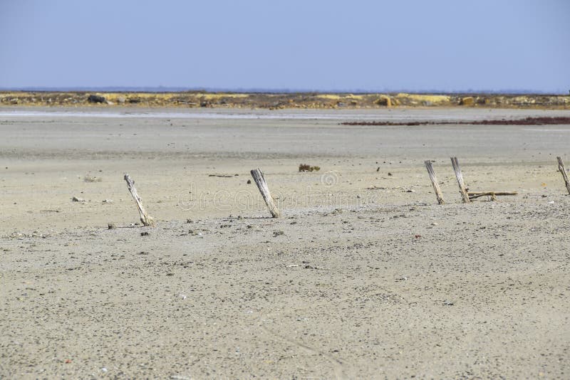 Red Algae Grow in Salt Desert Landscape Stock Image - Image of ...