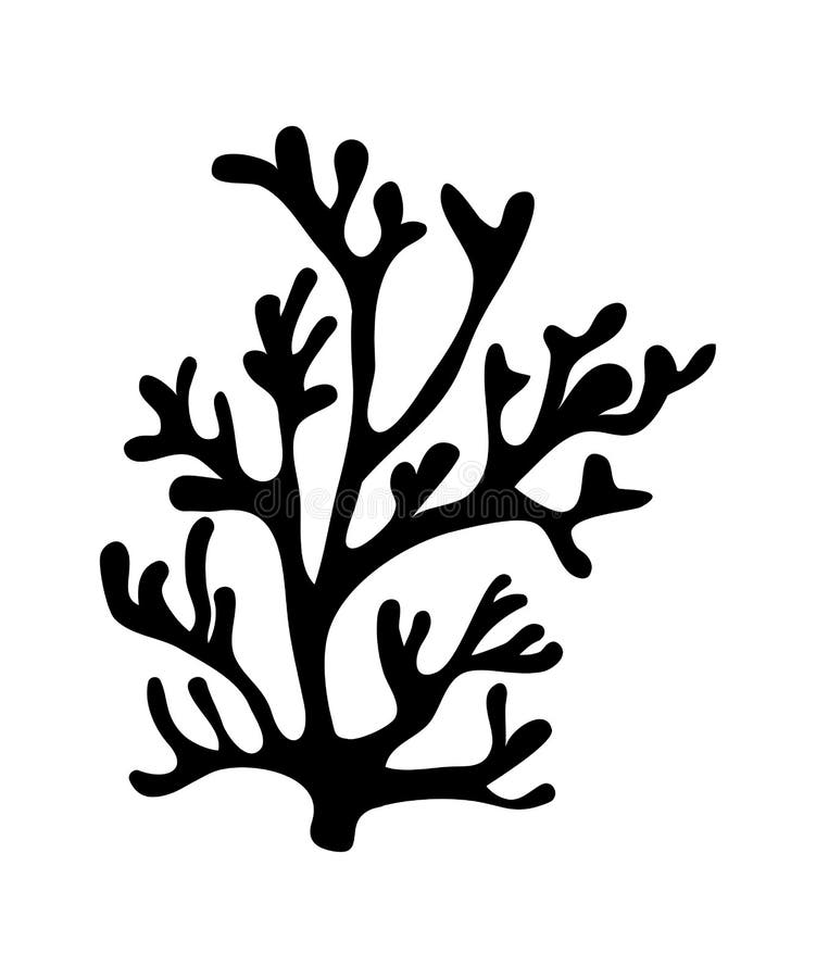 Red Algae Silhouette Vector Symbol Icon Design. Beautiful Illustration ...