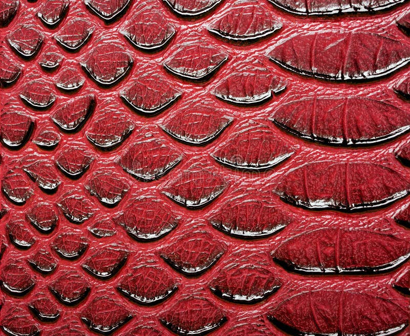 Red Alligator Patterned Background Stock Photo - Image of color ...