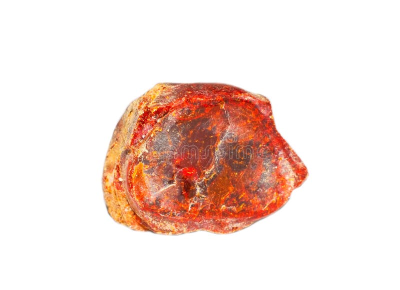 Red amber stock photo. Image of coast, glessit, copal - 28832230