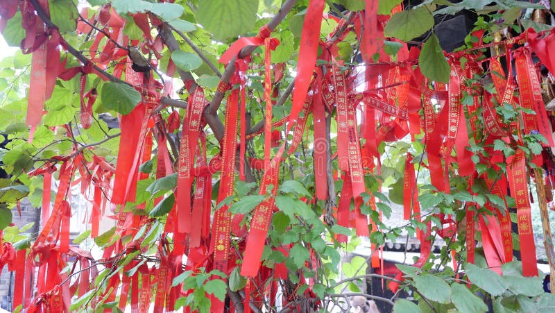Red Amulet Wishing Prayer of Blessing Hanging on Wall and Trees ...