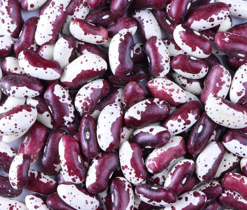 Red Anasazi Beans. Spotted Beans.Kidney Beans Stock Image - Image of ...