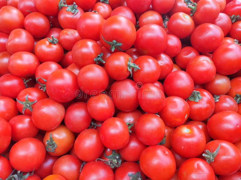 Red Angry Tomatoes Full Concept Wallpaper Stock Photo - Image of ...