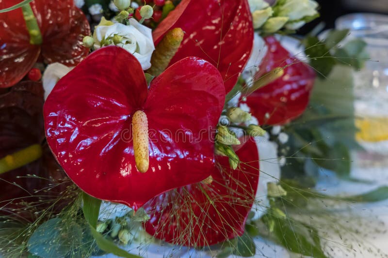 Red Anthurium in a Wedding Bouquet Stock Image - Image of isolated ...