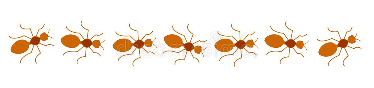 Line Ants Stock Illustrations – 1,874 Line Ants Stock Illustrations ...