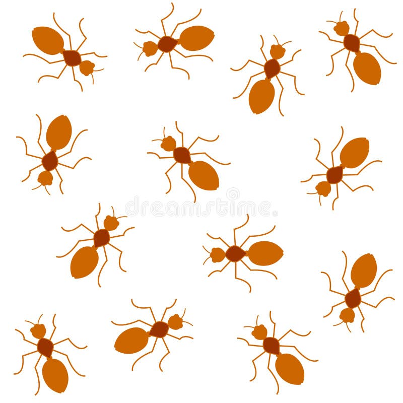Red ants border / frame stock vector. Illustration of brown - 6342528