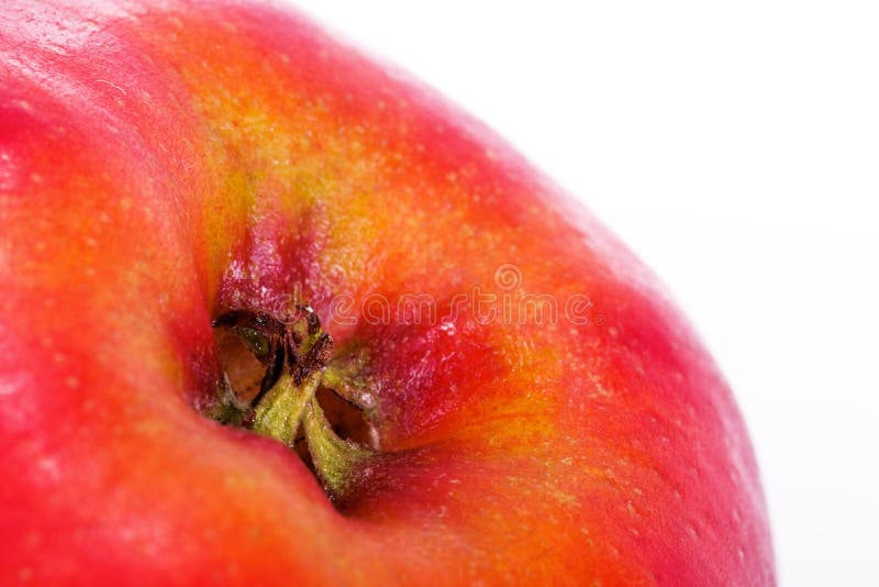 Red apple stock image. Image of health, nature, food - 10367235