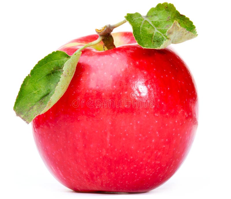 Red apple stock image. Image of single, healthy, closeup - 17770223