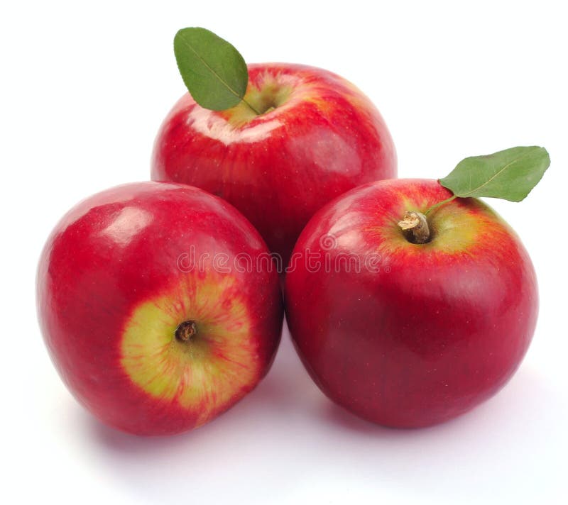 Red apple under water stock image. Image of smith, aqua - 10724911