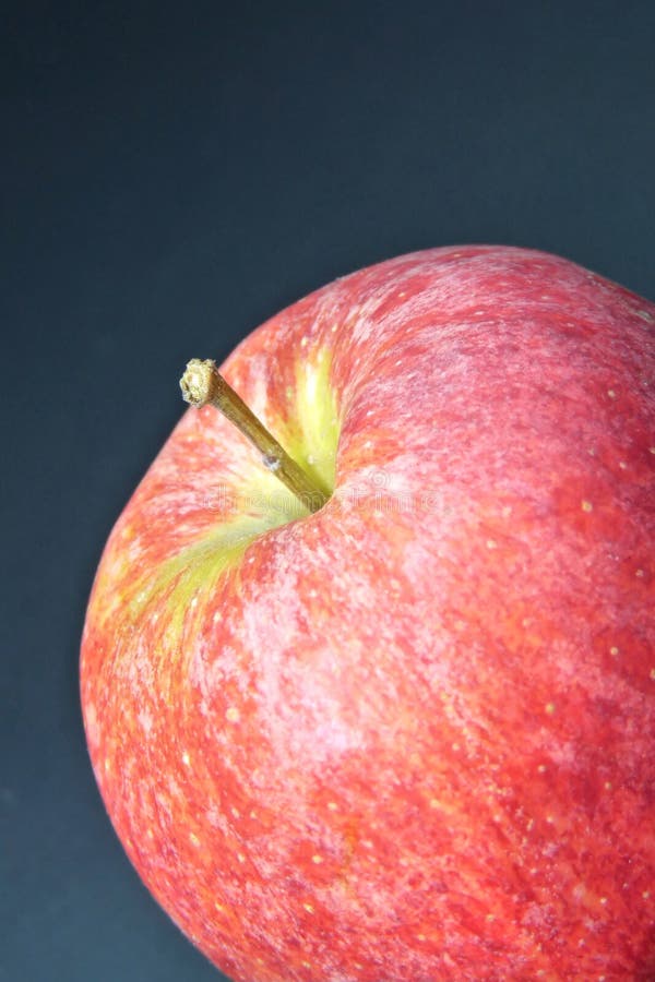 Red apple stock photo. Image of details, skin, closeup - 11755188