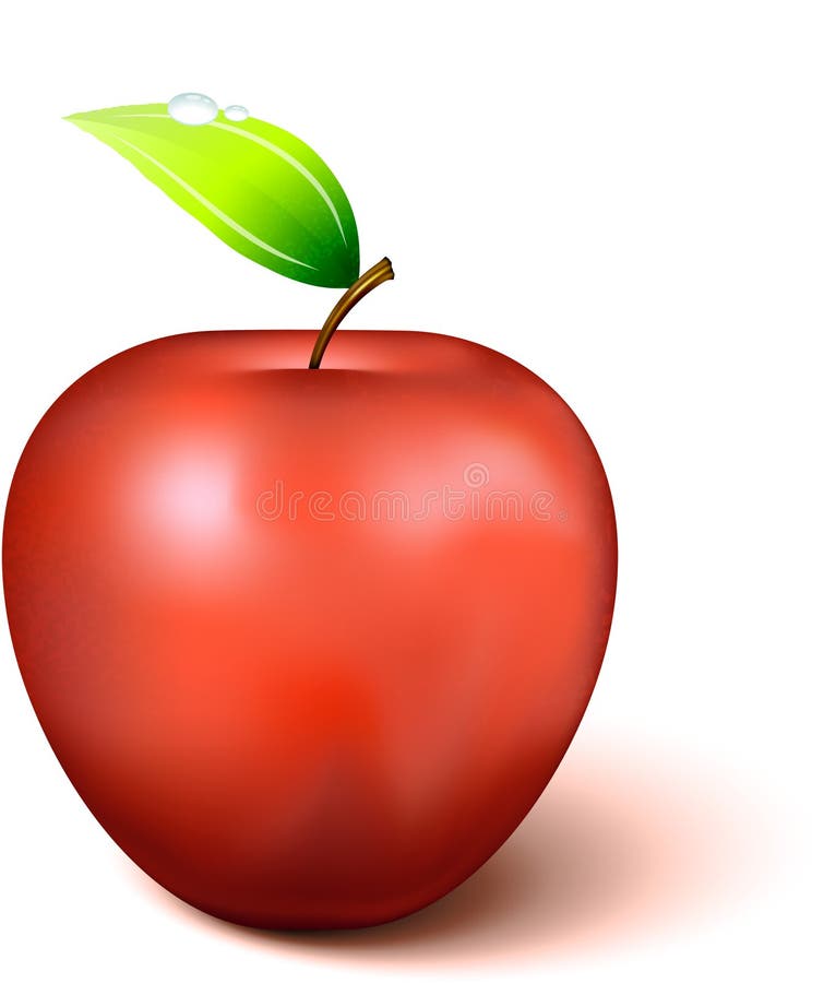 Red apple stock vector. Illustration of color, crop, concept - 24661589