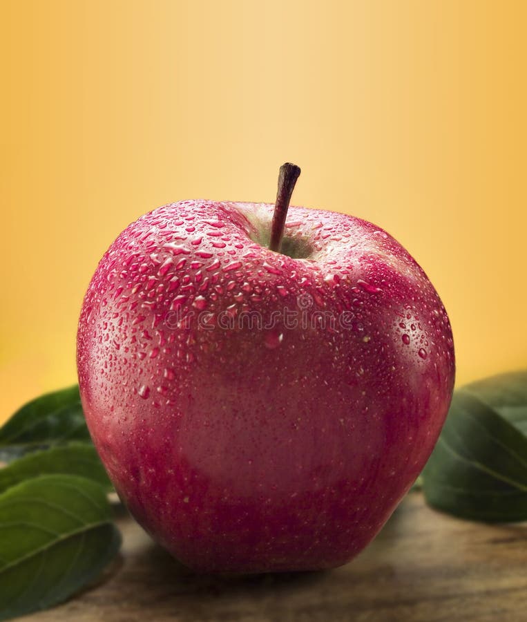 Red apple stock image. Image of leaf, apple, food, color - 13377347