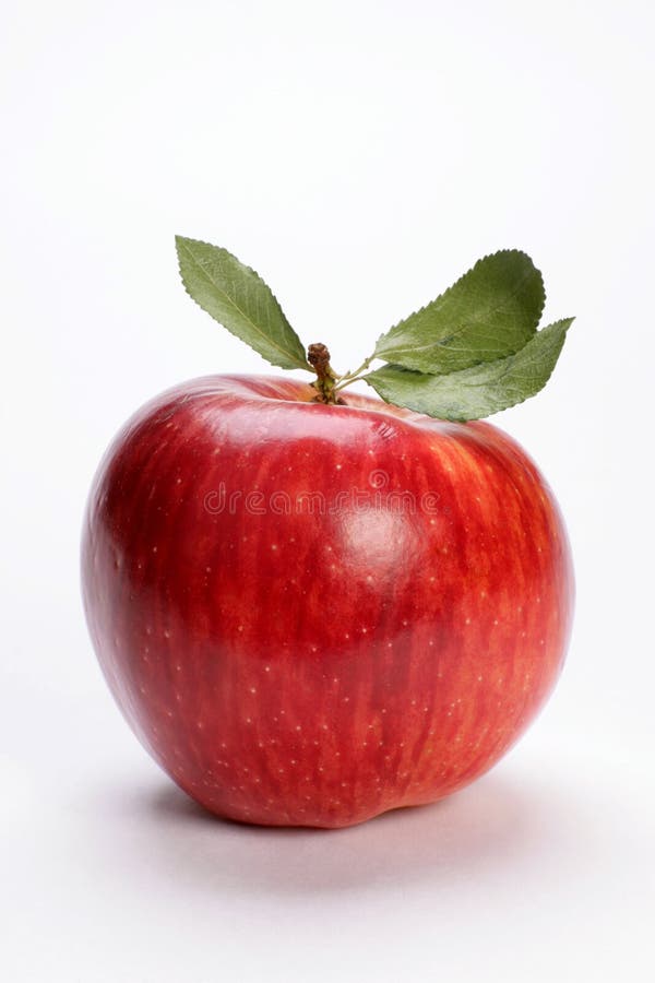 Red apple stock image. Image of single, healthy, closeup - 17770223