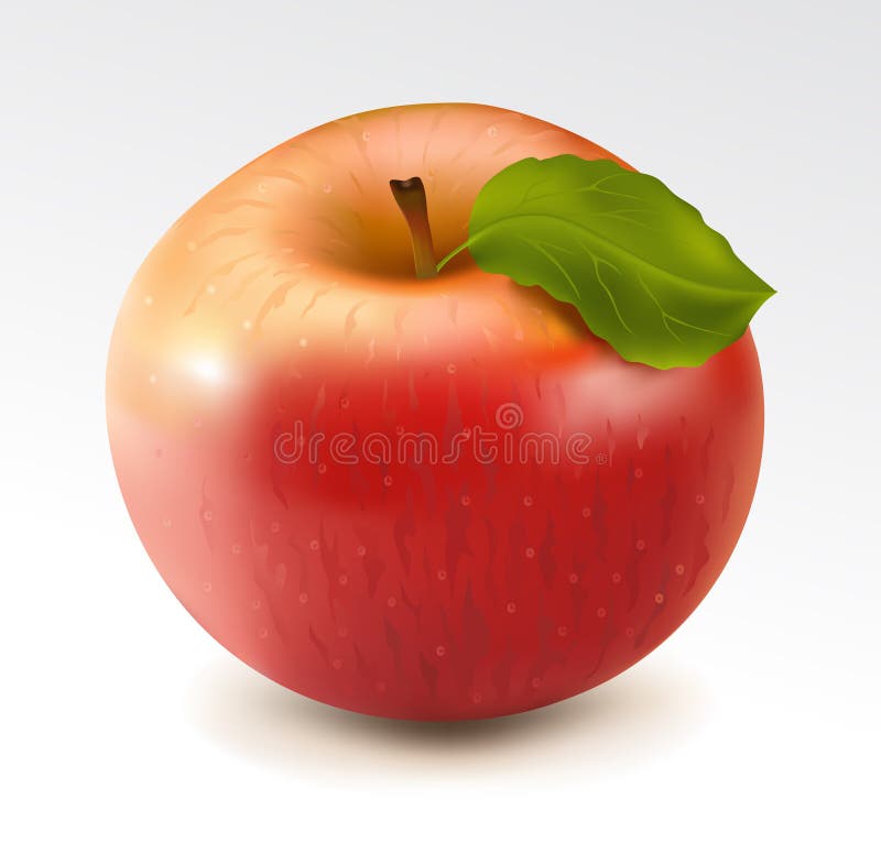 Red apple stock vector. Illustration of apple, snack - 18978016