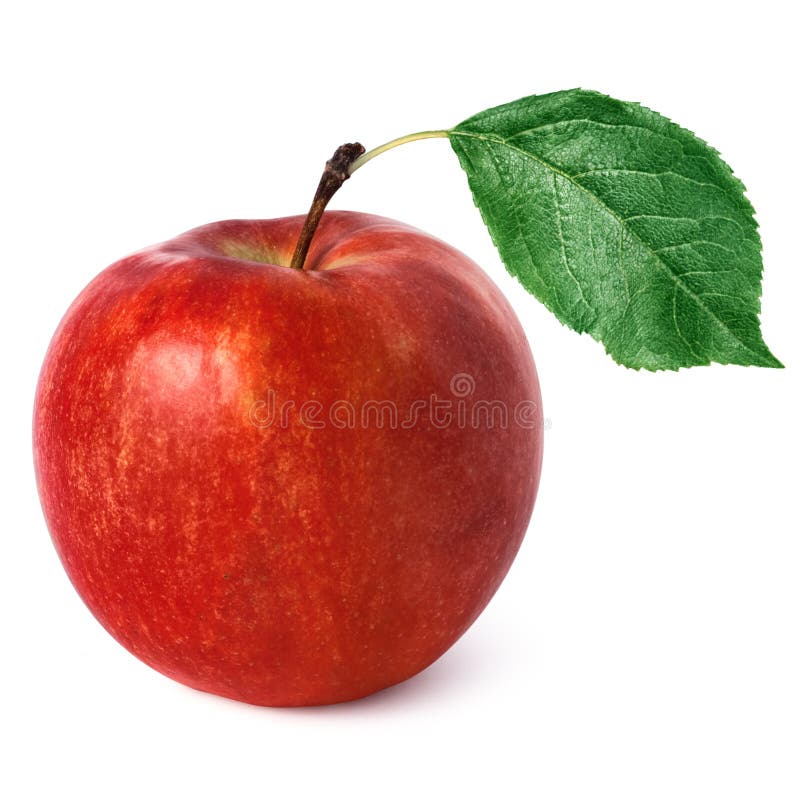 Red apple stock image. Image of fruit, juice, healthy - 17772433