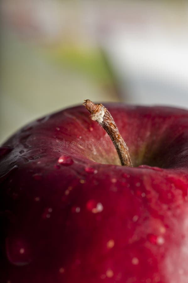 Red Apple stock image. Image of close, single, drink - 18553217