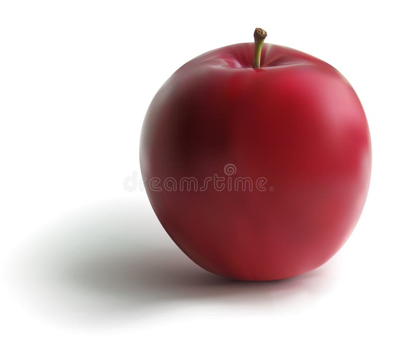 Red apple stock vector. Illustration of apple, snack - 18978016