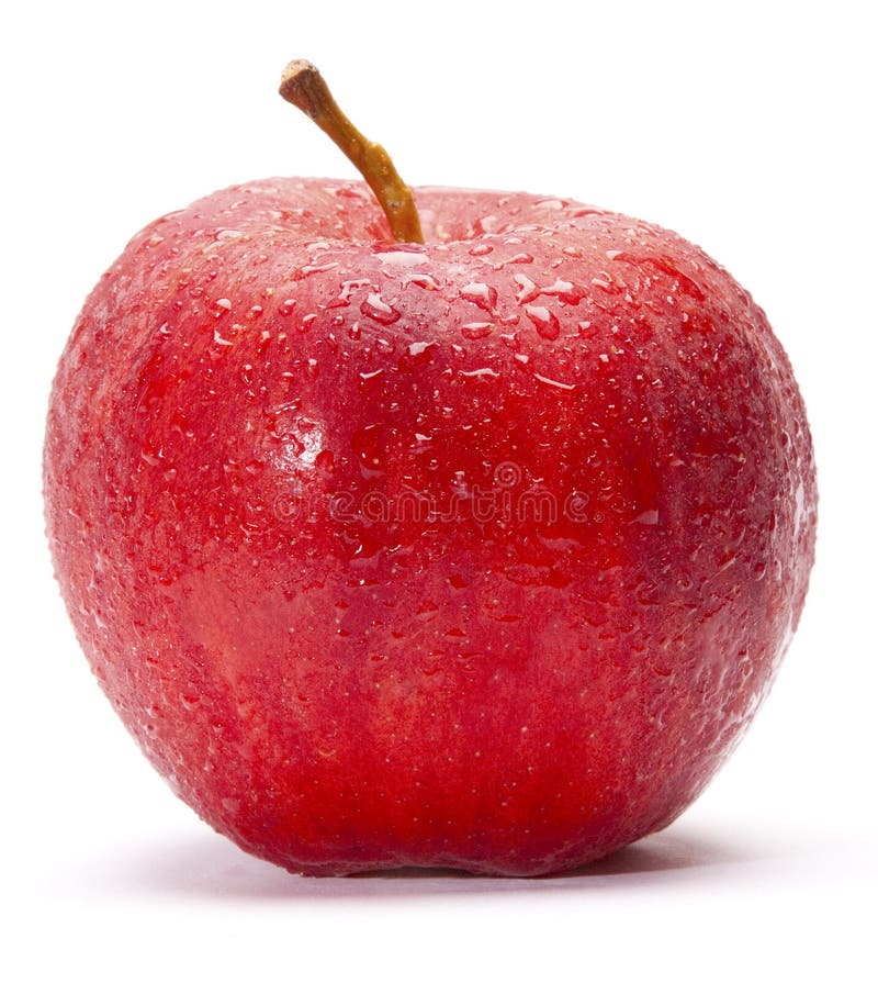 Red Apple stock photo. Image of delicious, shadow, fresh - 19999466
