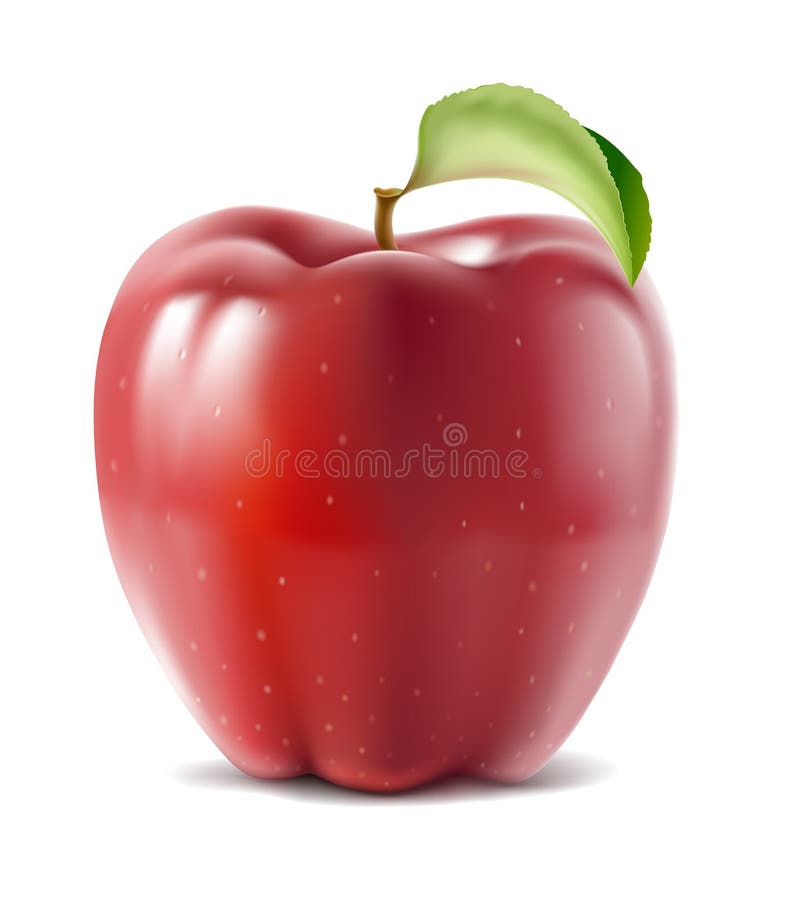 Red apple stock vector. Illustration of apple, snack - 18978016