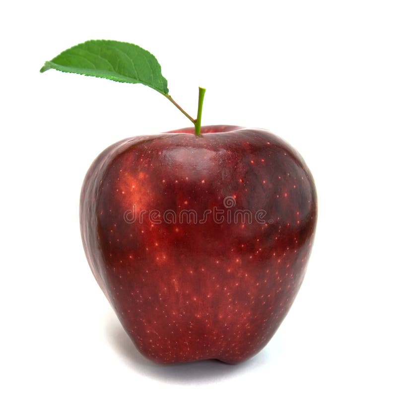 Red apple stock image. Image of diet, white, fresh, stem - 6935747