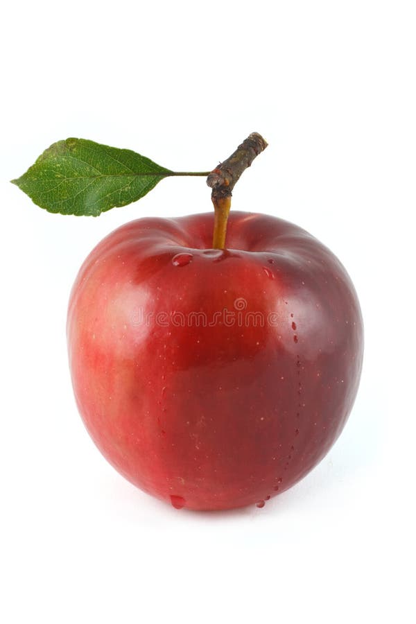 Red Apple Fruit with Leaf stock photo. Image of freshness - 13335700