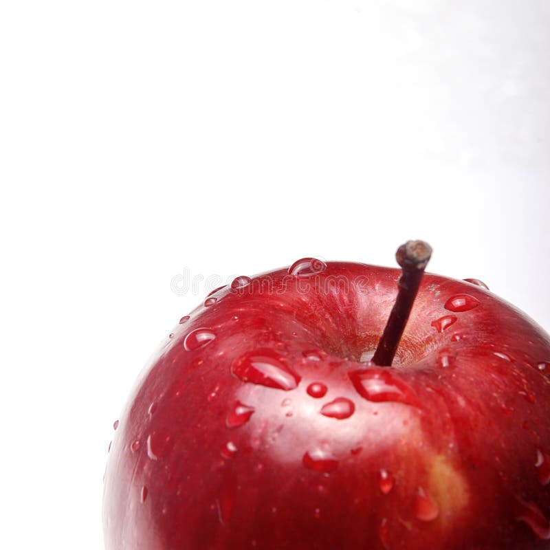 Red apple stock image. Image of macro, texture, food, apple - 2815017