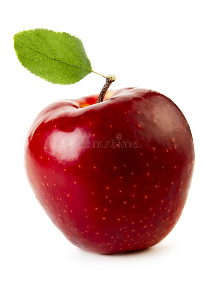 Red apple stock photo. Image of apple, drop, leaf, vivid - 10144712