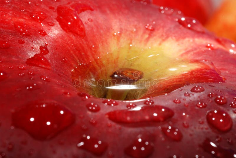Red apple stock photo. Image of bubble, sphere, dropping - 3410346