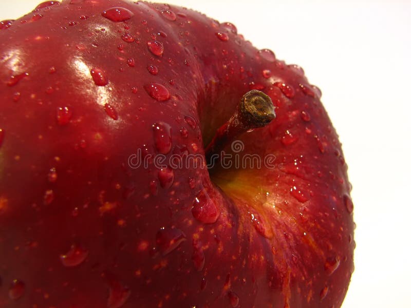 Red Apple stock image. Image of skin, health, small, fruitiness - 463355
