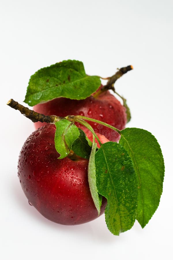 Red apple stock image. Image of healthy, apples, texture - 6281545