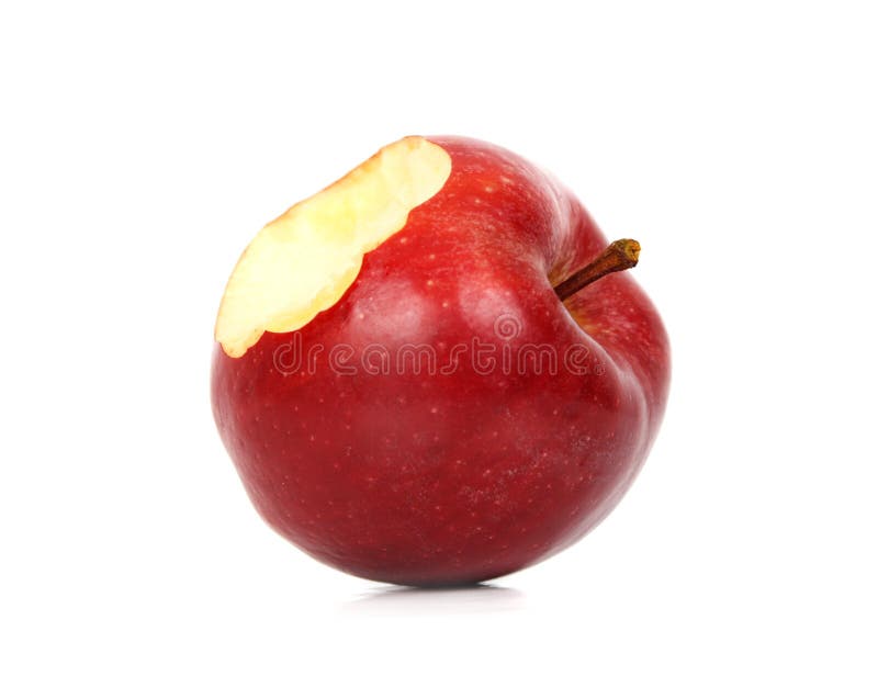 Maggots on rotten apple stock photo. Image of defect, apple - 5579802