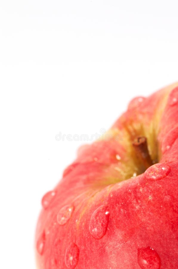 Red apple stock photo. Image of health, water, nutrition - 729910
