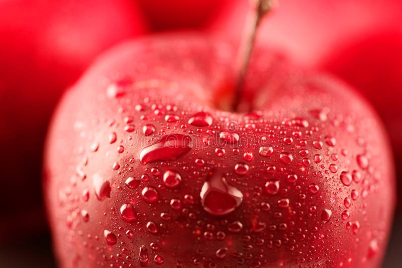 Red Apple stock image. Image of apple, healthy, refreshing - 9260671