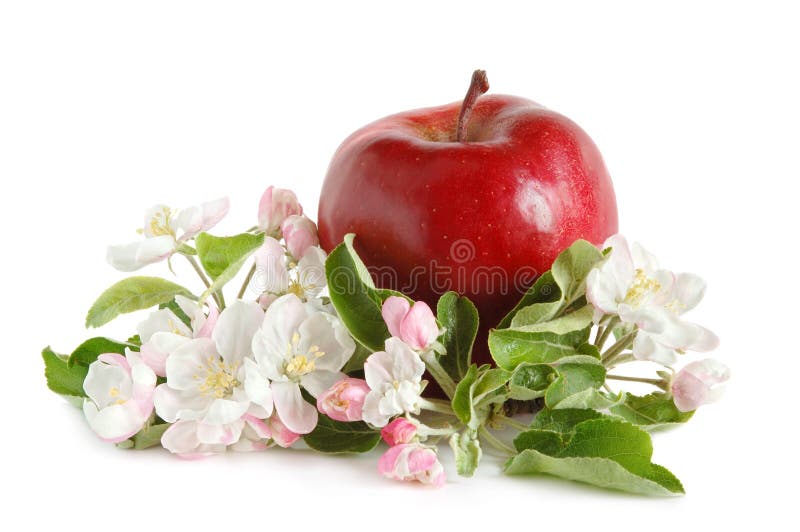 Aroma Spa Set stock photo. Image of alternative, close - 11307190