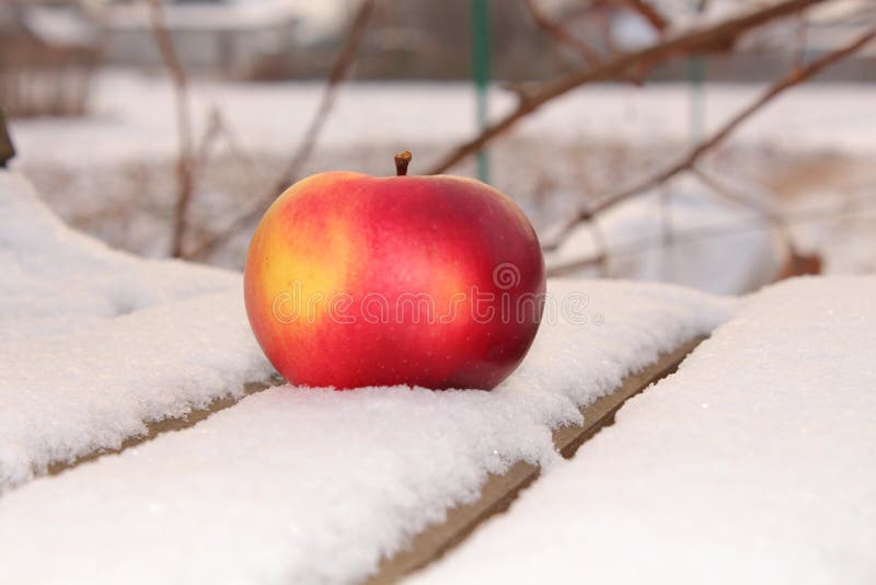 Red apple stock image. Image of white, bench, loneliness - 47455131