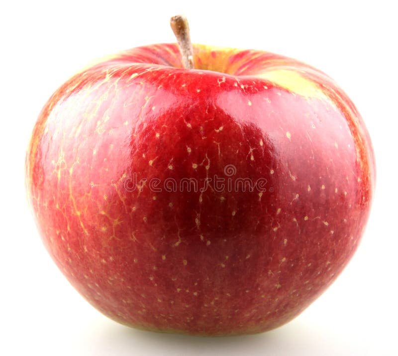 Red apple bite stock photo. Image of concept, fruits - 20992412