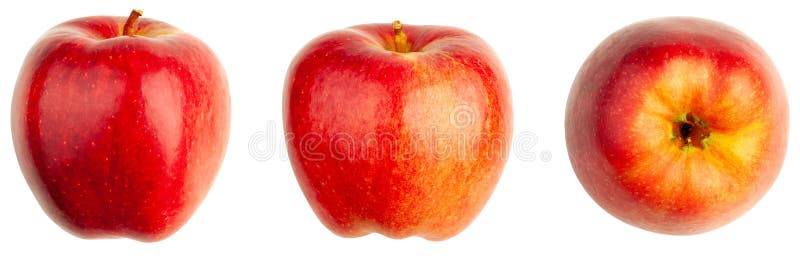Red Ripe Apple Bottom View Stock Photos - Free & Royalty-Free Stock ...